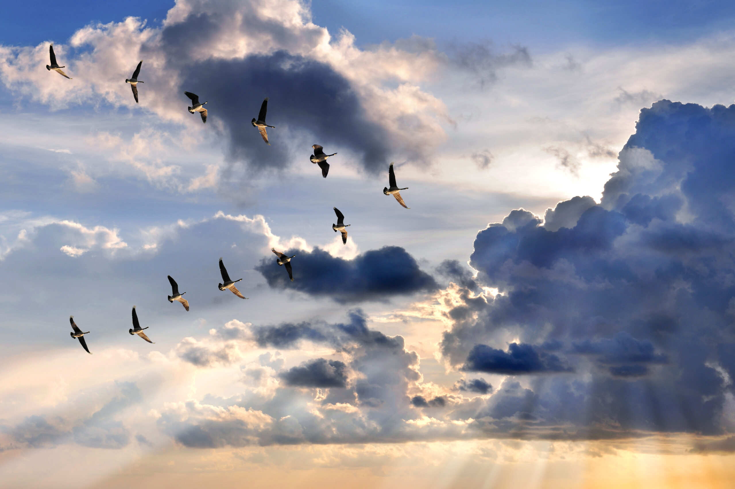 Weekly digest: peer review week, code sharing and the Journal Checker ...